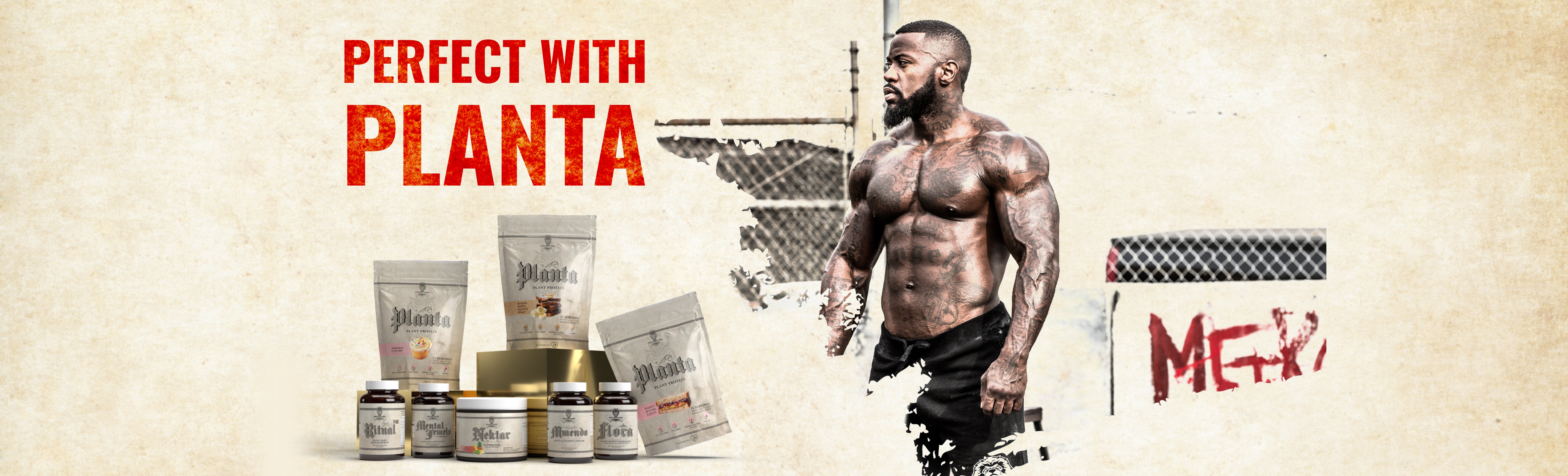 Perfect with Planta | Mike's Recommendations – Ambrosia Collective