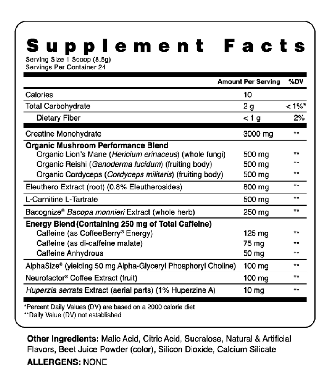 Kinetic Mushroom Enhanced Pre-Workout – Ambrosia Collective